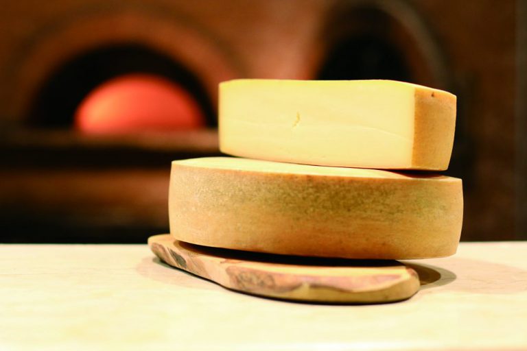 A unique kind of cheese born from the nature of Tokachi - Slow Travel ...