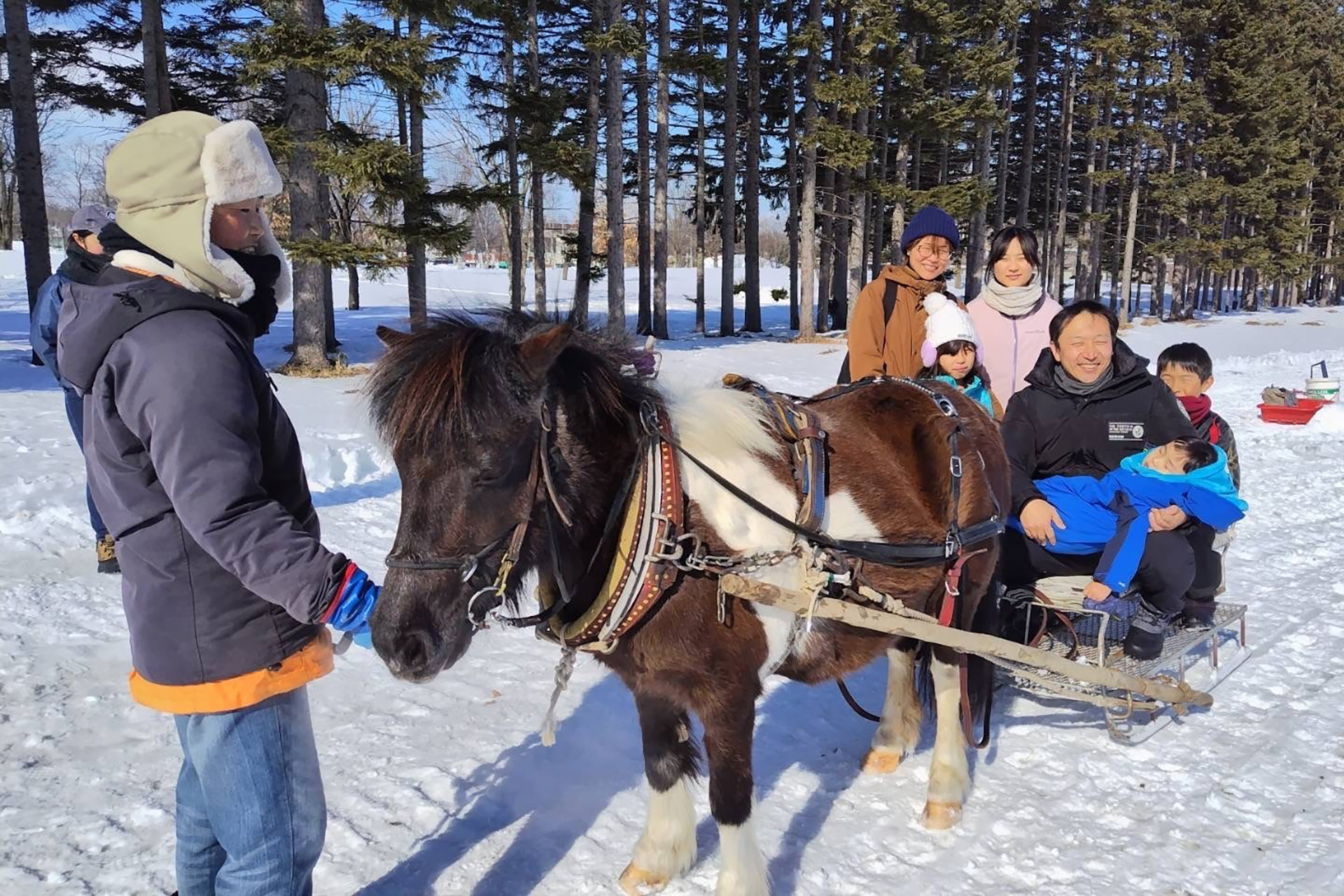 Sarabetsu Pony Farm Horse-Drawn Sleigh Ride - Slow Travel HOKKAIDO