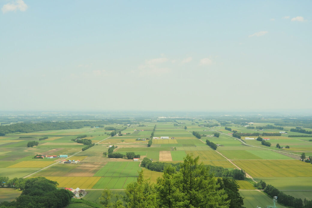 Tokachi Beans and Vegetable Farms Gastronomy Tour - Slow Travel HOKKAIDO